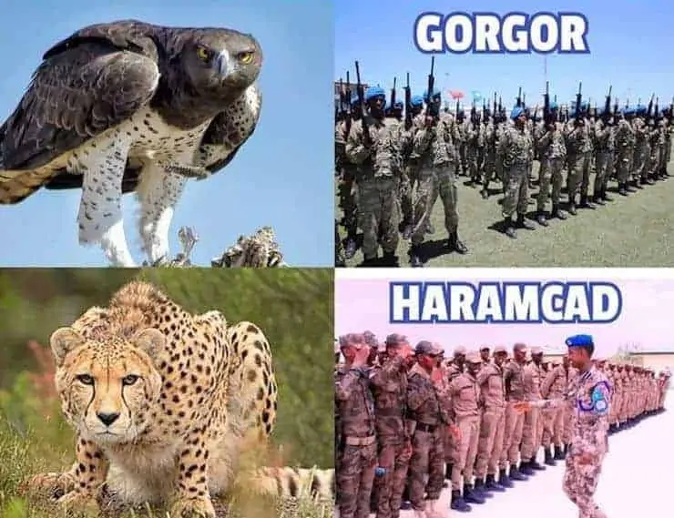 Haramcad Archives - Goobjooge.net: Somali News, Somalia news Analysis.