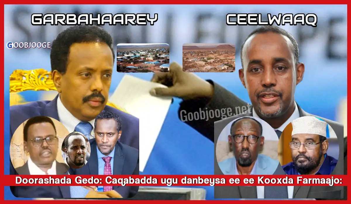 Qorshaha Farmaajo: Garab ka mida Guddiga FEIT oo Doorasho ku qabanaya ...